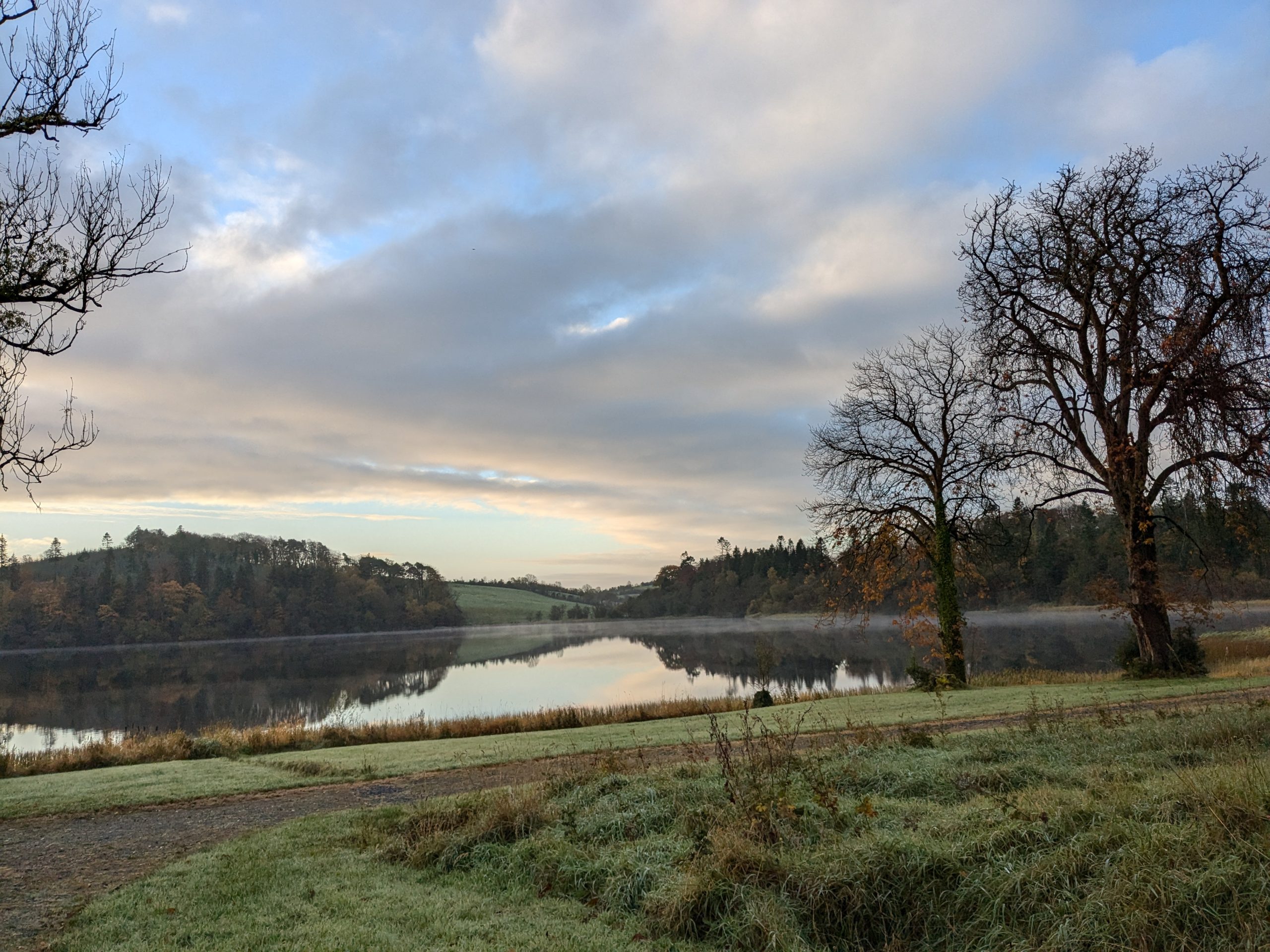 Dispatches from Ireland by Aimee Wall, Part Two - Quebec Writers ...
